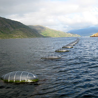 JFC Marine superior performance mussel floats | JFC Group